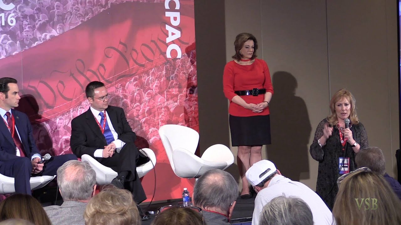 CPAC 2016 Panel "Europe In Chaos" - statement from Janice Atkinson (MEP ...