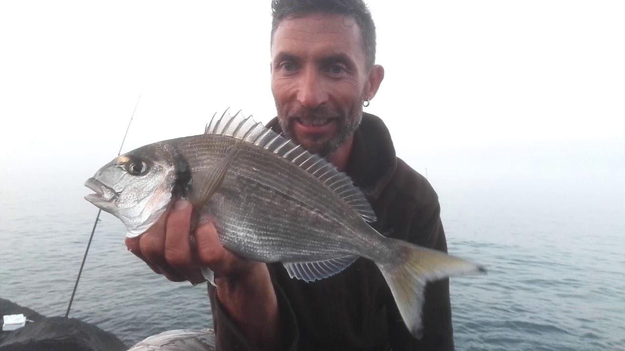Qualche piegata a vuoto... ma alla fine due splendide orate.... - YouTube