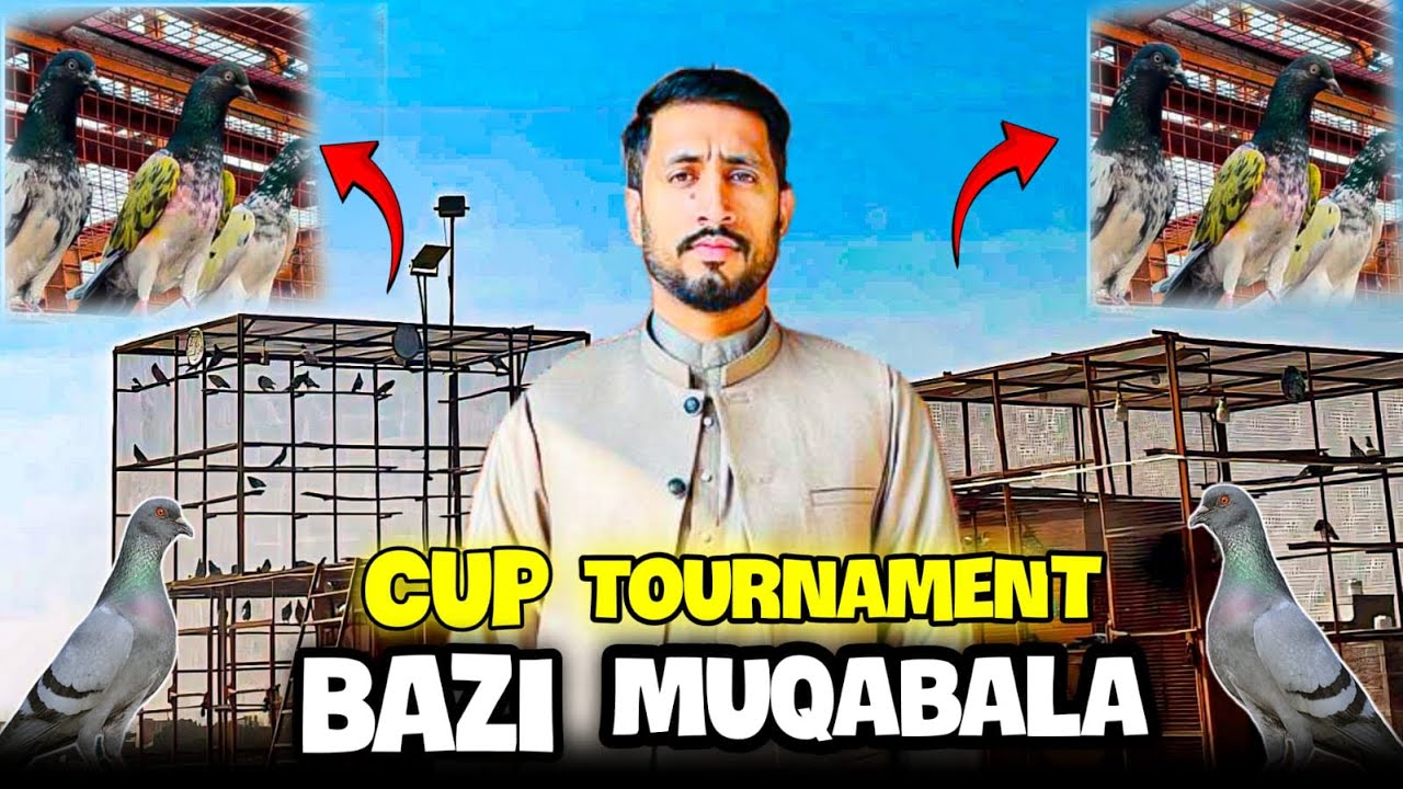 6 April 2025 2 Cups main 2nd position or 2 main 3rd position li 🕊️🥰😍 ...