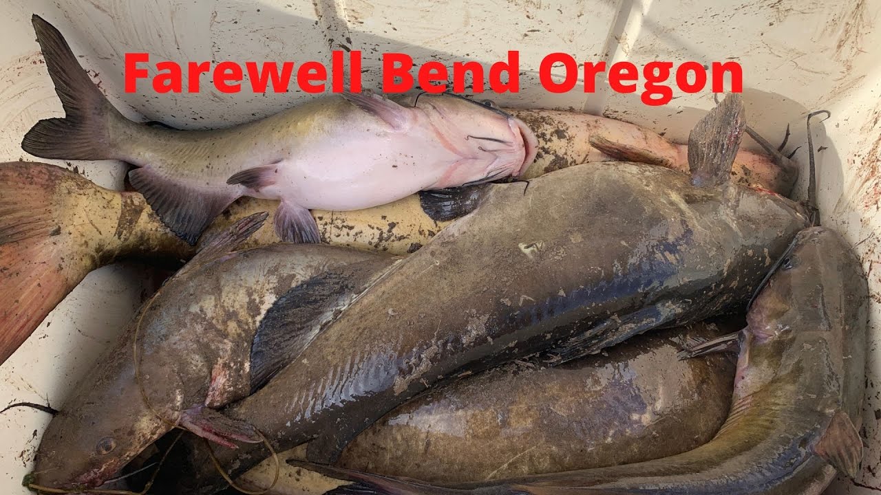 Farewell Bend Oregon - YouTube