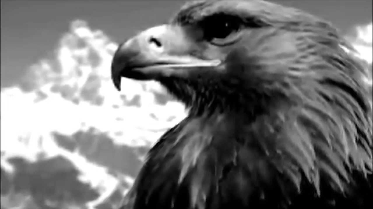 FLY LIKE AN EAGLE - Native American - YouTube