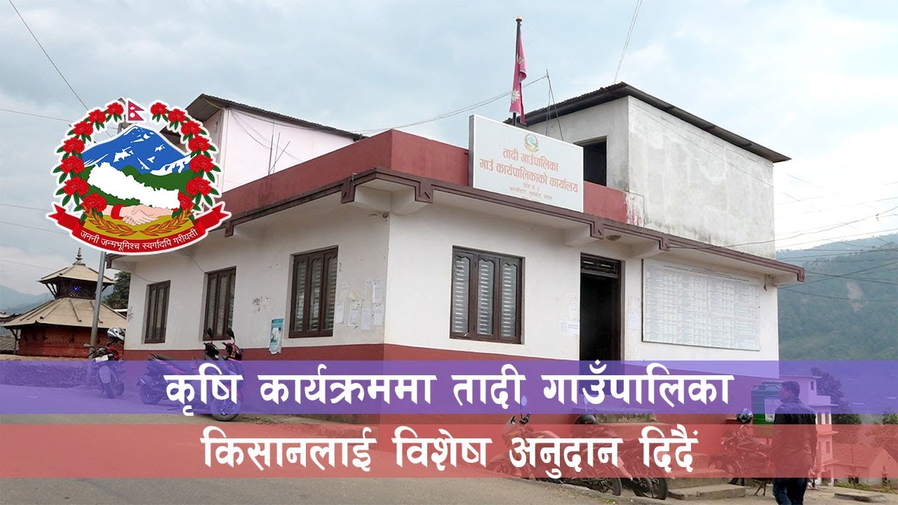 कृषिमा तादी गाउँपालिका || Tadi Rural Municipality || - YouTube