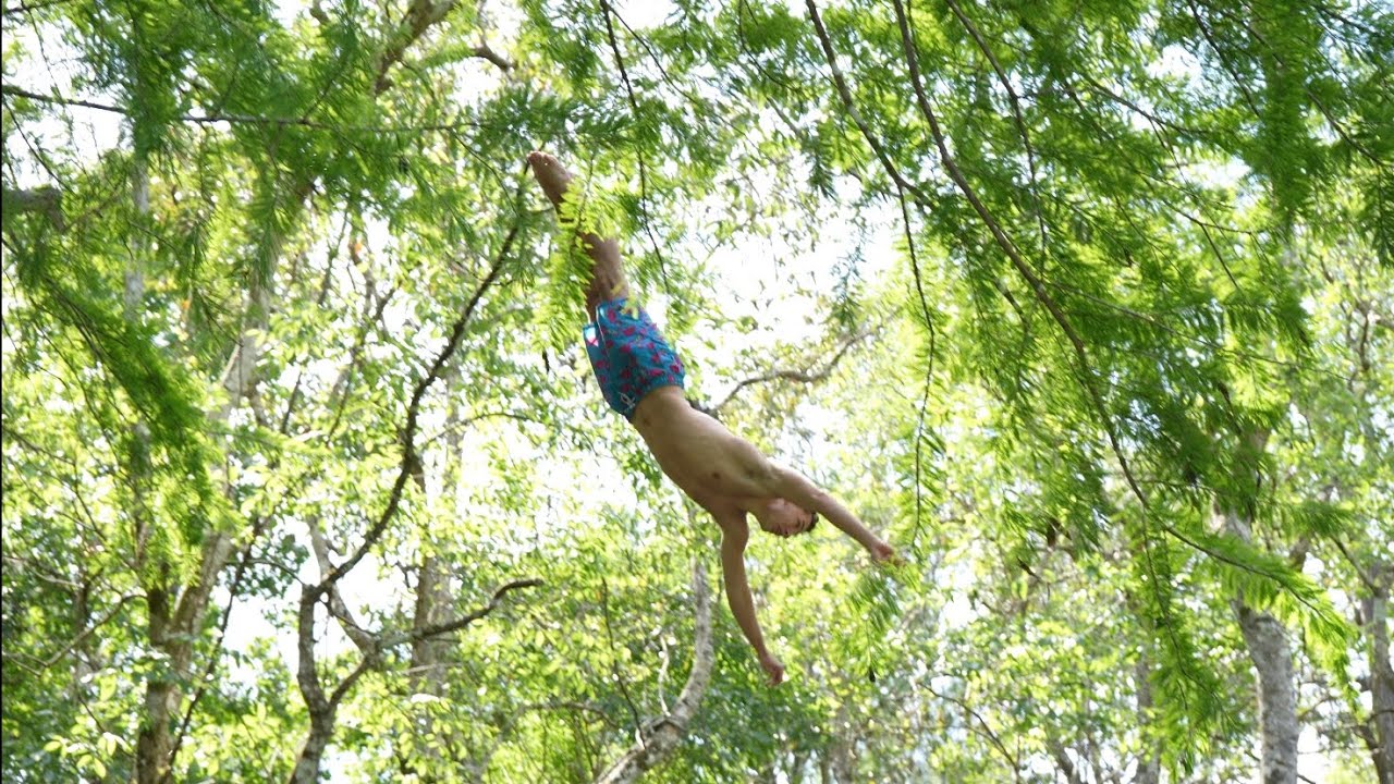 Weeki wachee tree jump - YouTube