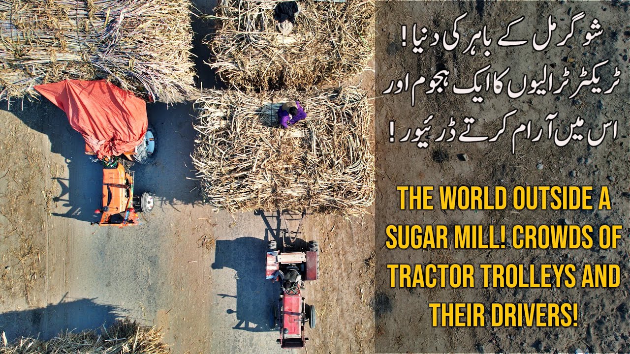 Visit to Sugar Mill - Importance of sugar cane Industry in Pakistan ...