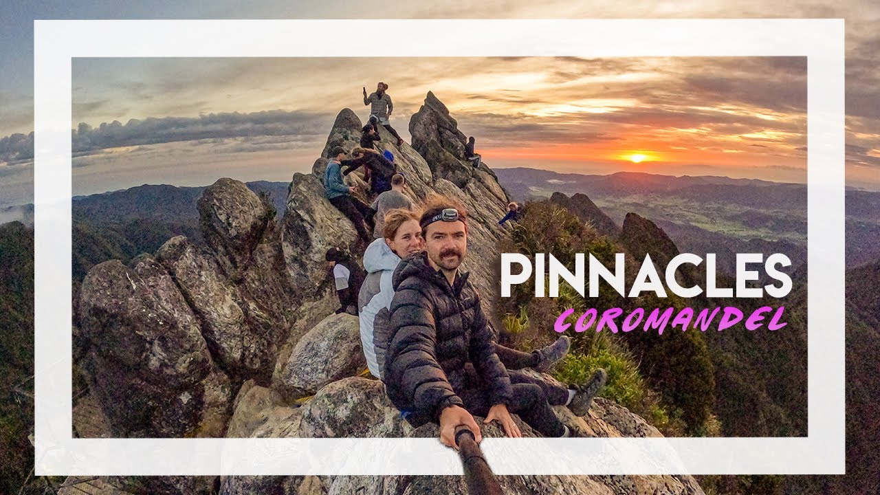 Tramping the Pinnacles Walk | Kauaeranga Kauri Trail - YouTube