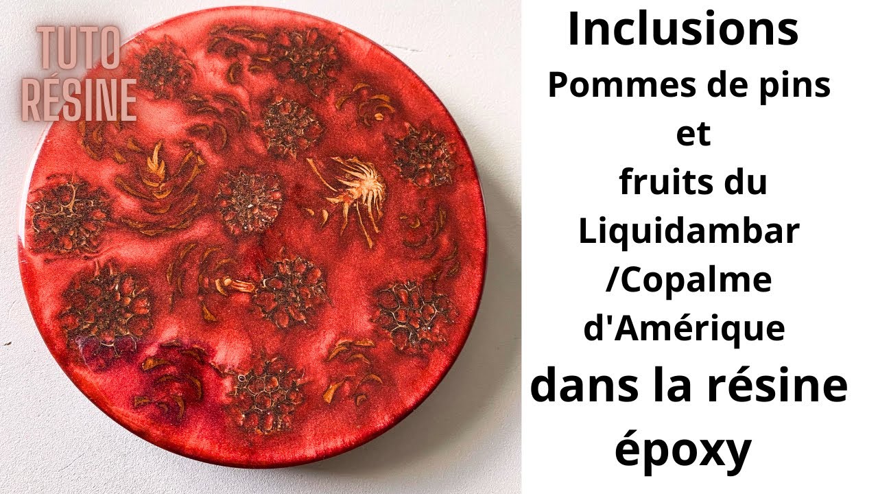 Inclusions Pommes de pins dans la résine époxy sans bulles d'air ...