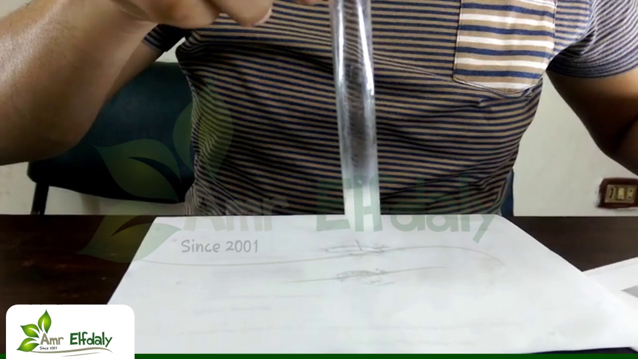 Mayer Test - YouTube