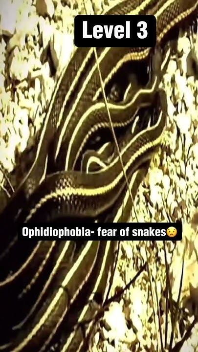 Imagine seeing a snake inside a toilet 😬😬 #scary #snake #snakevideo # ...