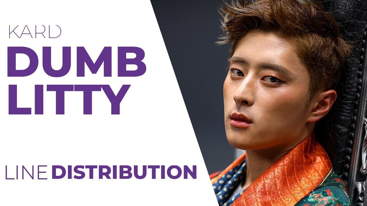 KARD - DUMB LITTY Line Distribution (Color Coded) - YouTube