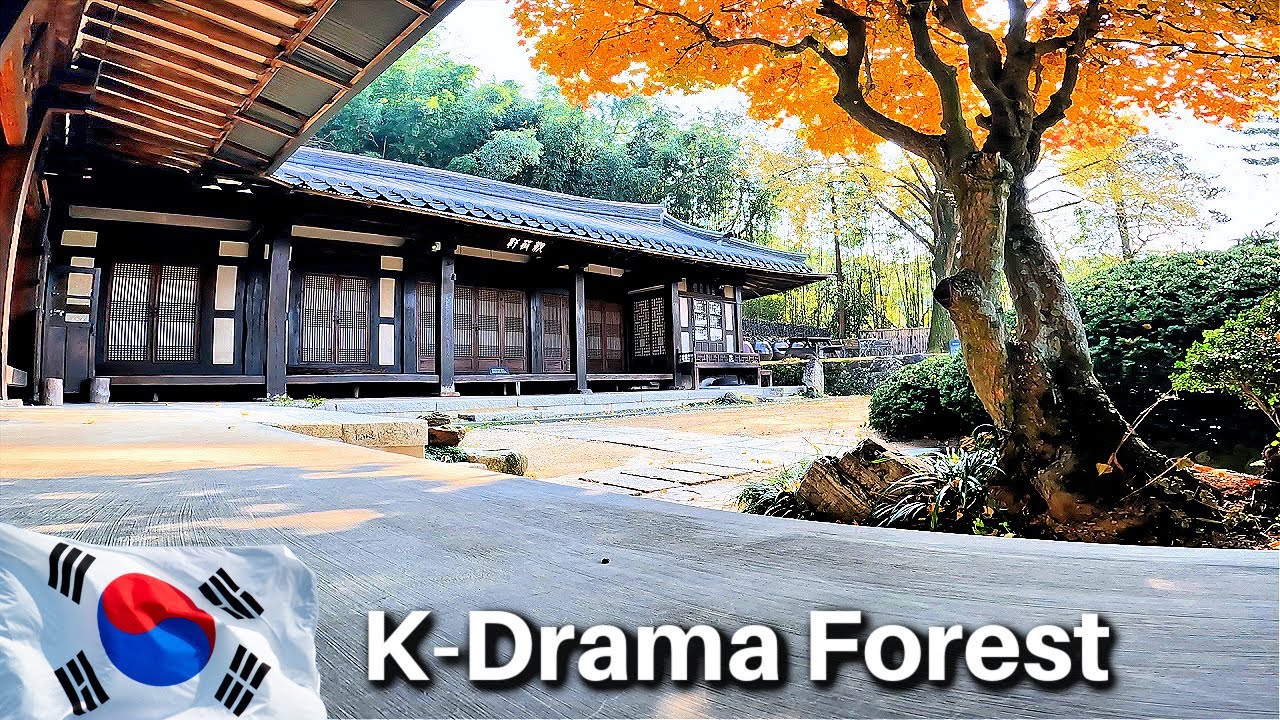 Exploring the famous #kdrama Ahopsan Forest in Korea 🇰🇷 - YouTube