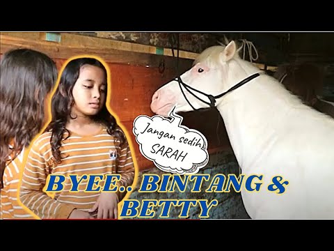 MOMENT HARU PELEPASAN KUDA PONI BINTANG & BETTY ~ Sarah Tak Kuasa Menahan Tangis😥