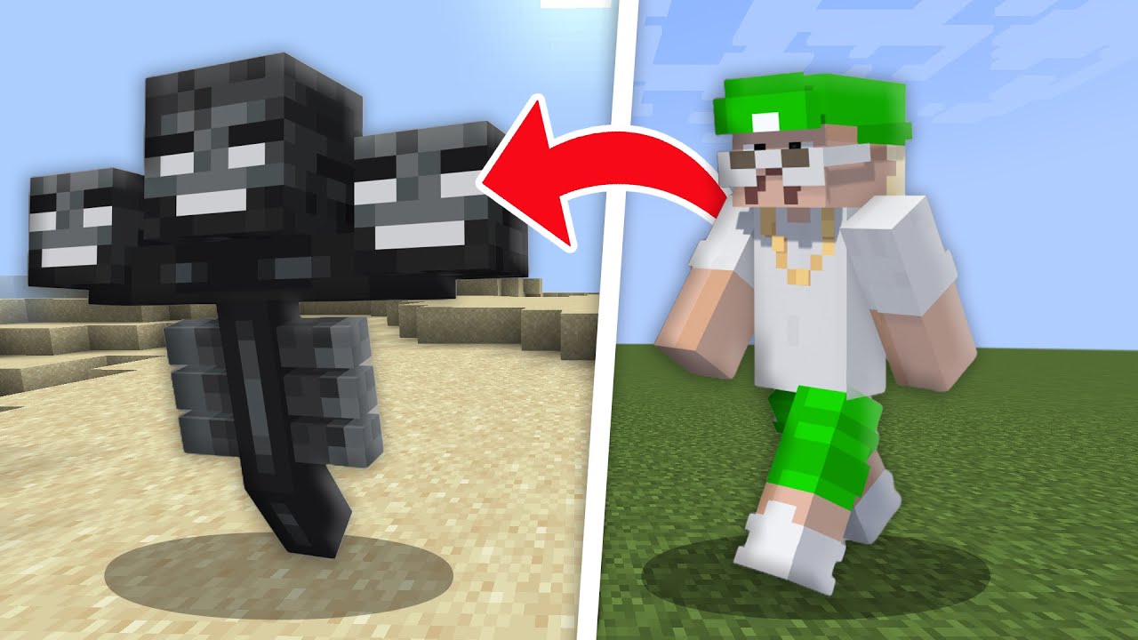 Minecraft, But You Can Shapeshift ! - YouTube