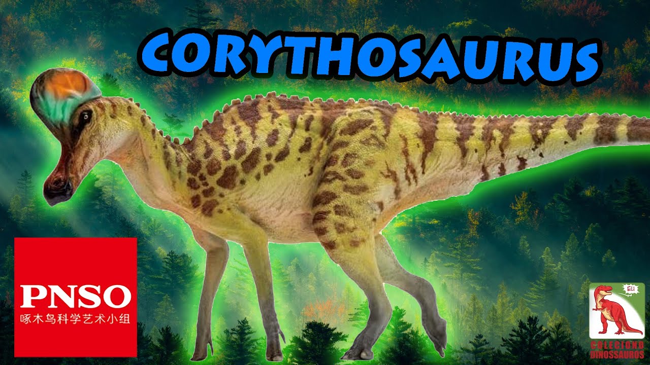 Corythosaurus PNSO - O Coritossauro dos Sonhos! Review e comparação PT ...