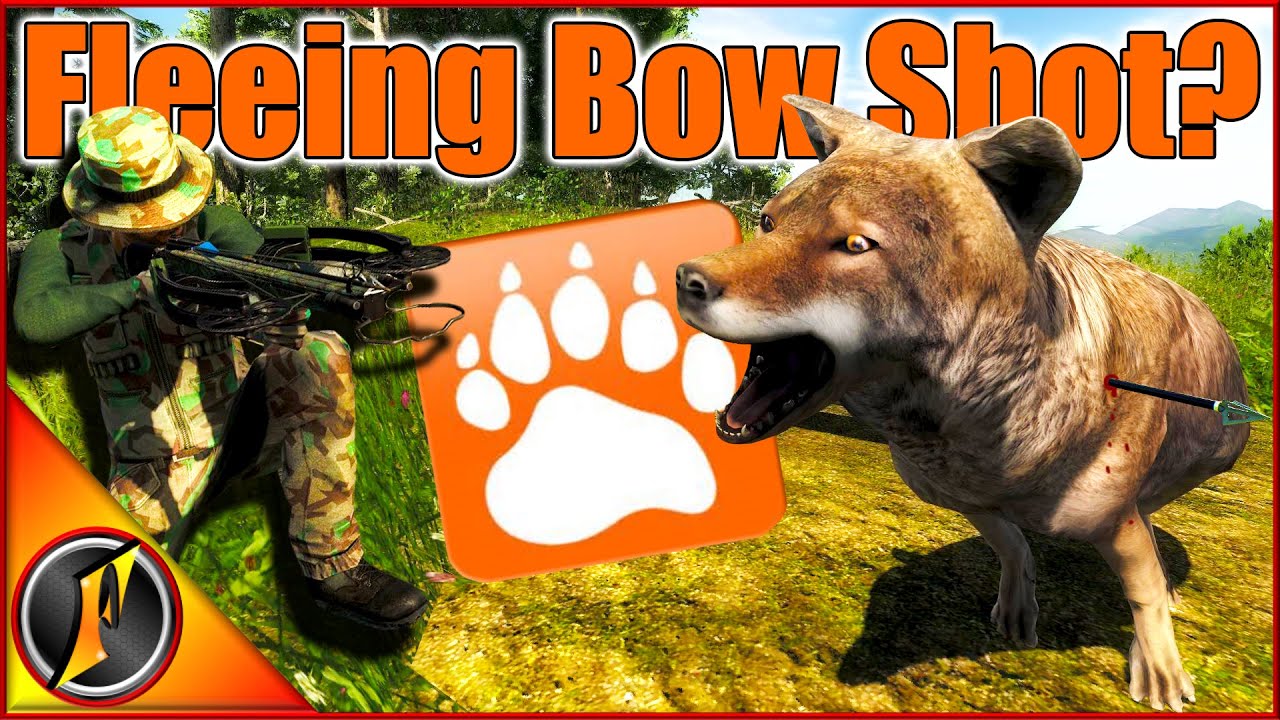National Archery Day Missions! 🏹 Fleeing Coyote & Hog Hunting!!! - YouTube