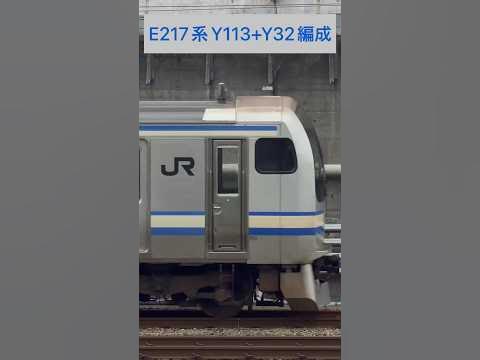 JR東日本 横須賀線 E217系 Y-113編成 + Y-32編成 (海側・鉄道サイドビュー) 【JR EAST 2023.8 / TRAIN SCAN】 - YouTube