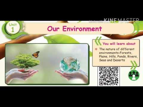 Class 2 EVS Day 1 Part 1 Lesson - Our Environment - YouTube