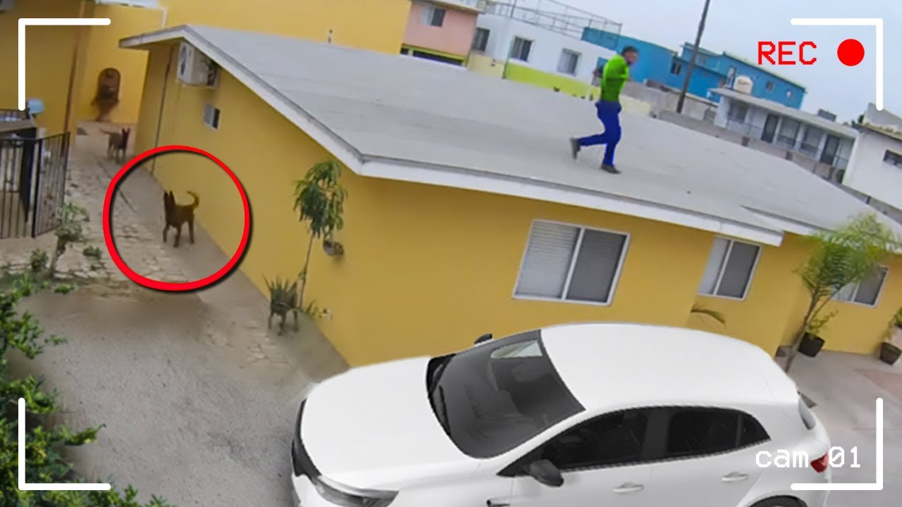 40 Incredible Moments Caught on CCTV Camera - YouTube