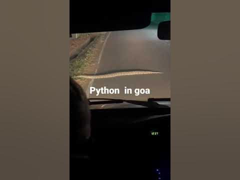 Python in Margao Goa - YouTube
