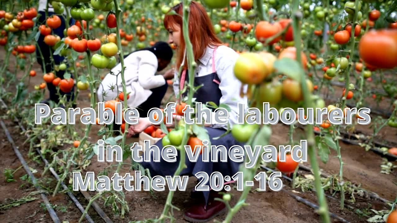 Parable of labourers in the vineyard || Matthew 20:1-16 - YouTube