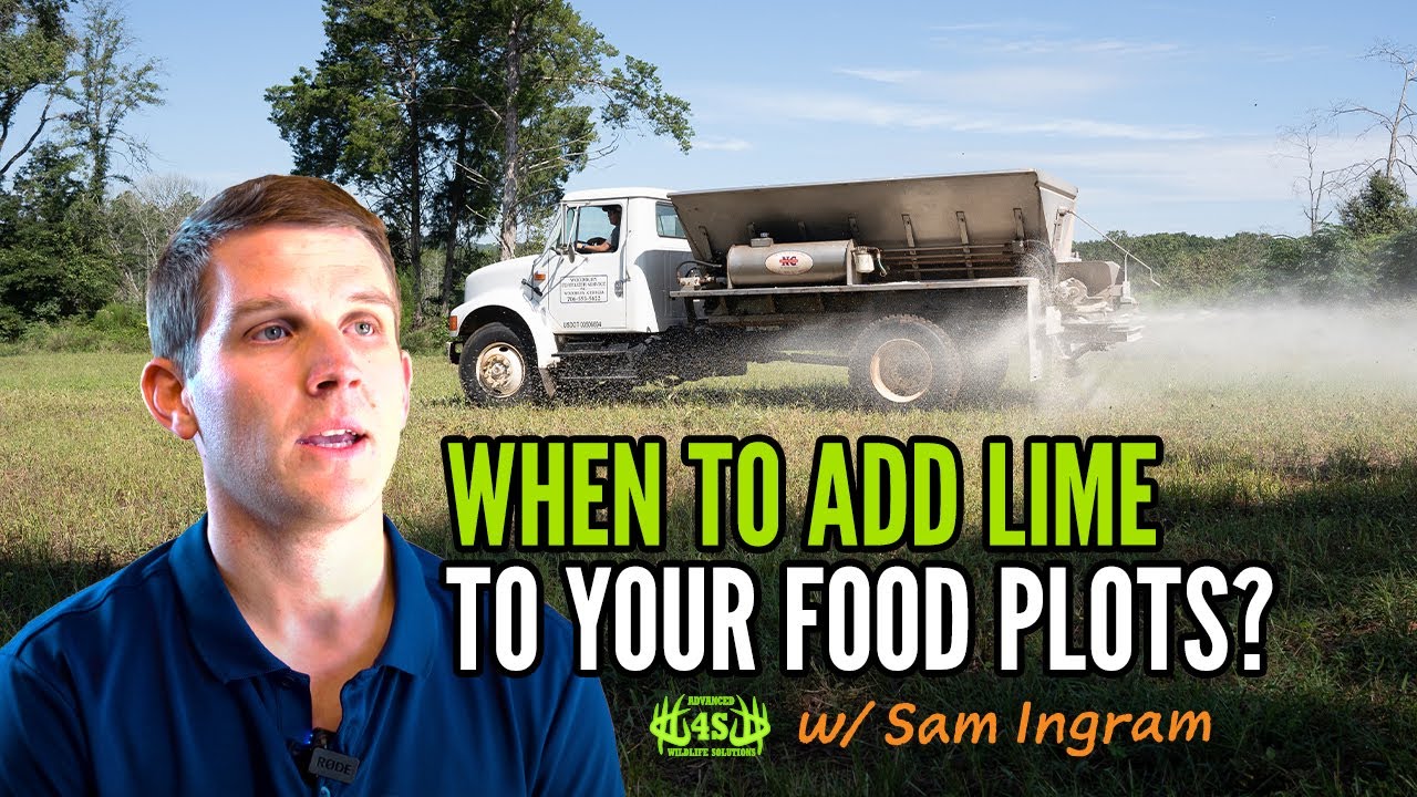 When to add LIME to your FOOD PLOTS? - YouTube