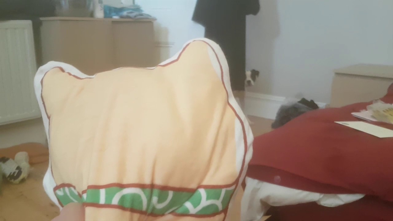 Uncanny Valley, the tale of two dogs. - YouTube