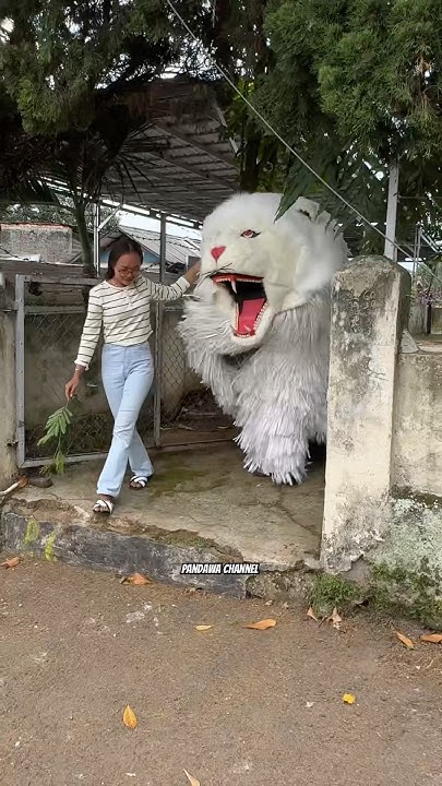 Macanan Baru Keluar Dari Kandang Kejar Bocil - YouTube