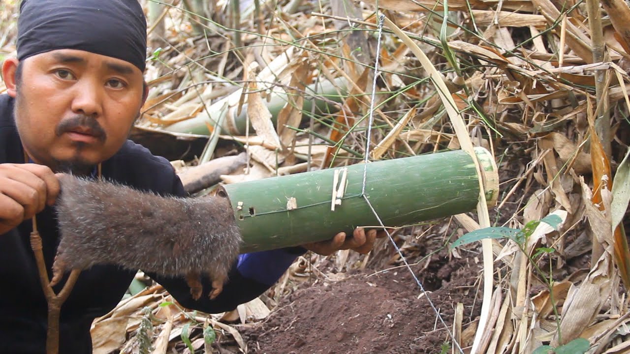 making amazing bamboo bow trap to catch big rat in the ground - YouTube
