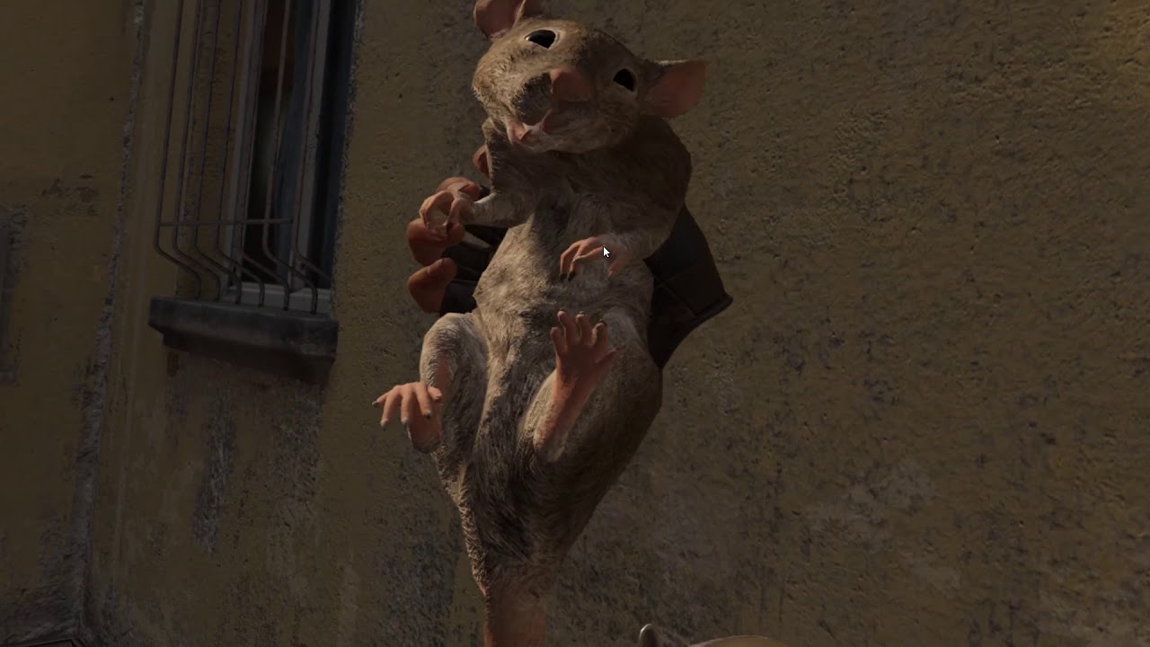 10/10 would stretch rat again - YouTube