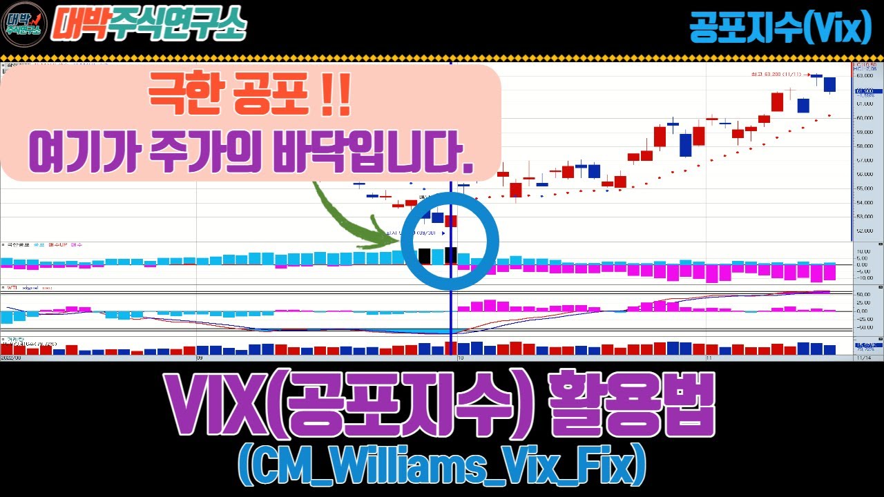 VIX(공포지수) 활용법/CM_Williams_Vix_Fix/트레이딩뷰 - YouTube