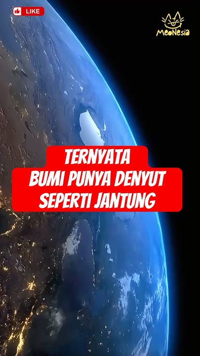 6 Fakta Menarik Bumi Yang Jarang Diketahui‼️ #faktaunik #shortvideo - YouTube