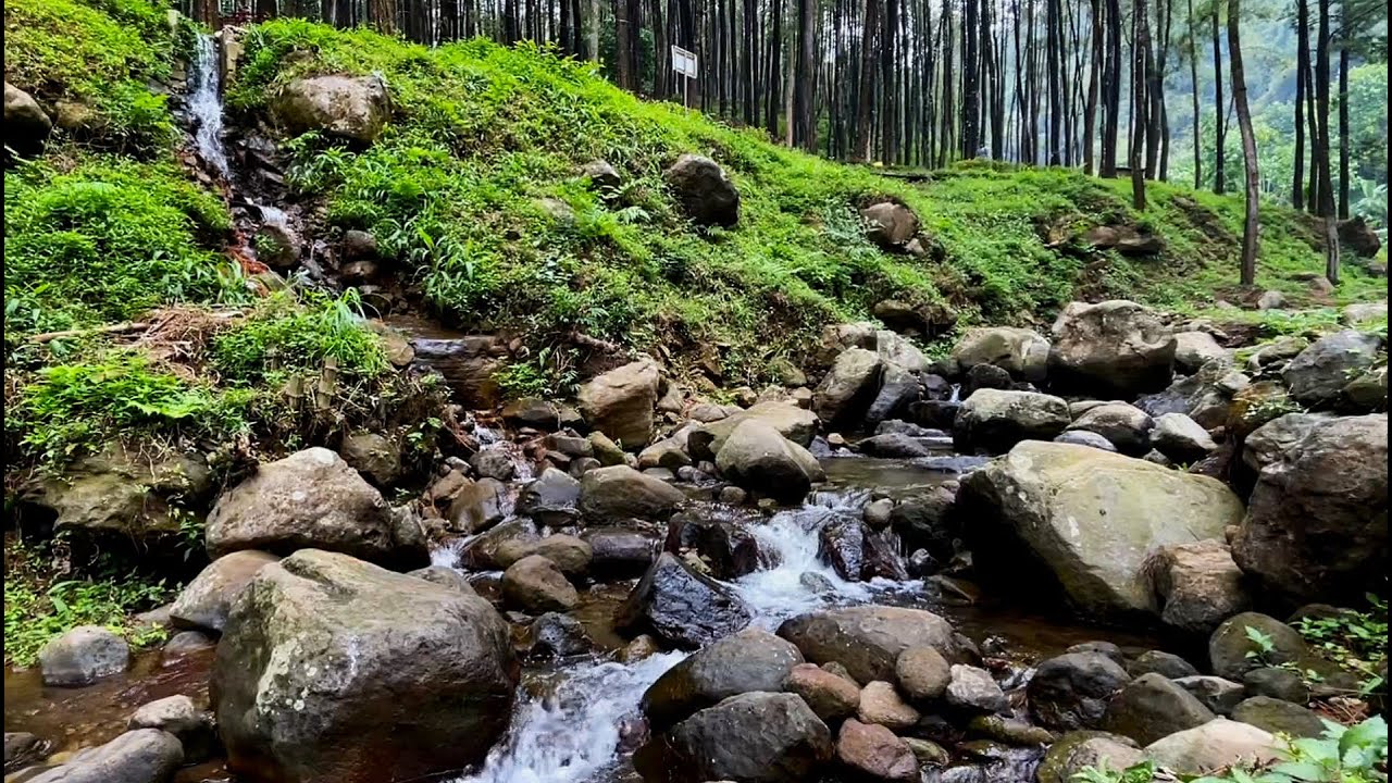 Peaceful River Stream Sounds to Soothe Your Mind and Improve Sleep ...