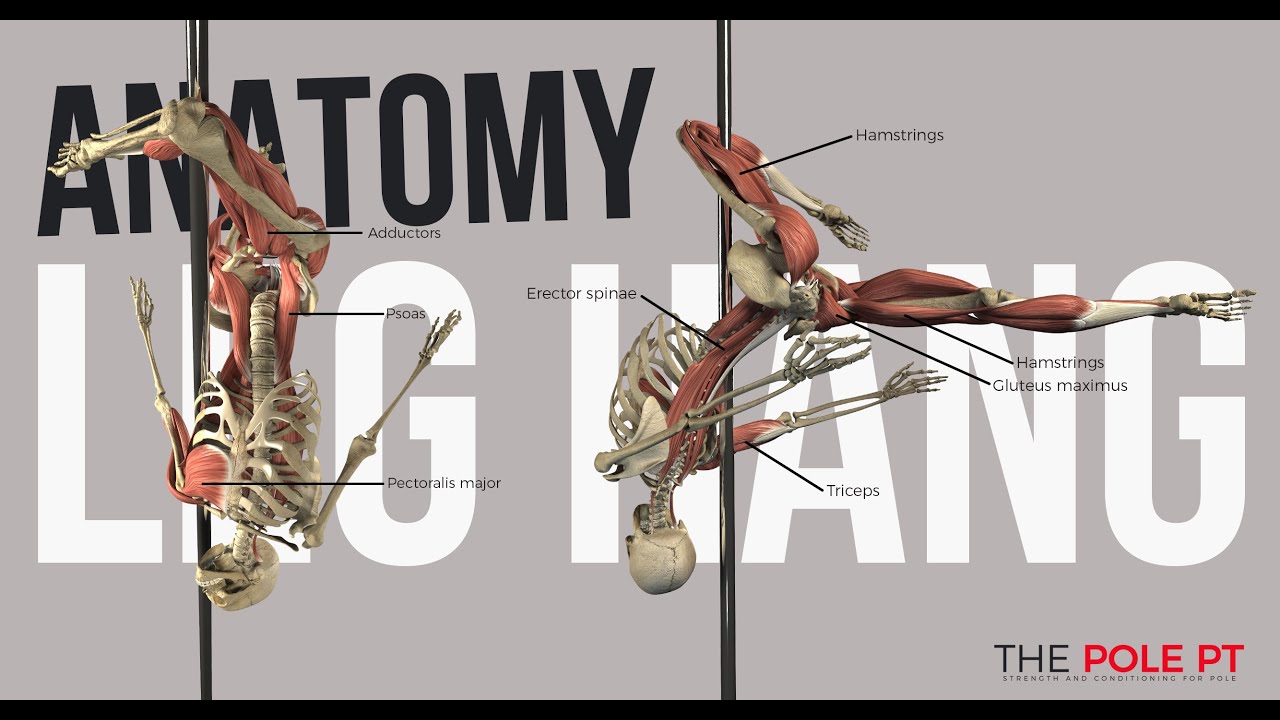 Pole Anatomy - Outside Leg Hang - YouTube