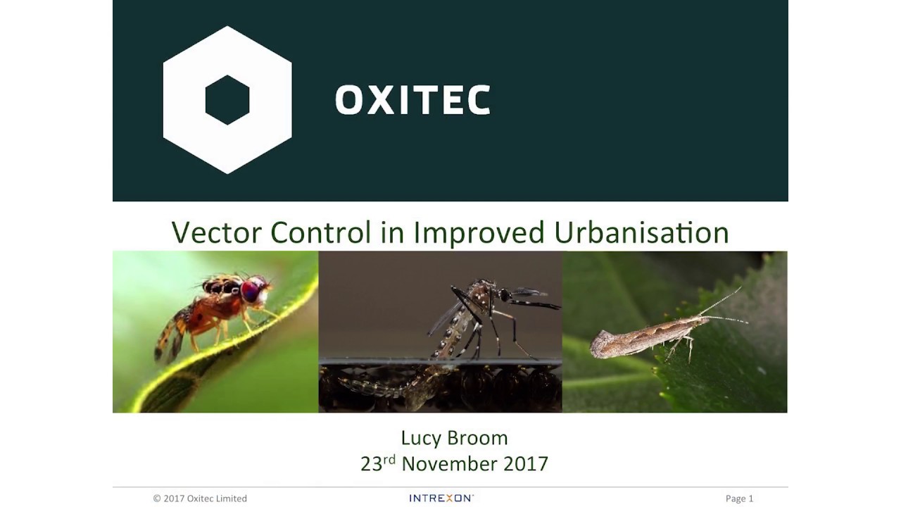 Lucy Broom (Oxitec): WASH & NTDs lessons from vector control, rapid ...