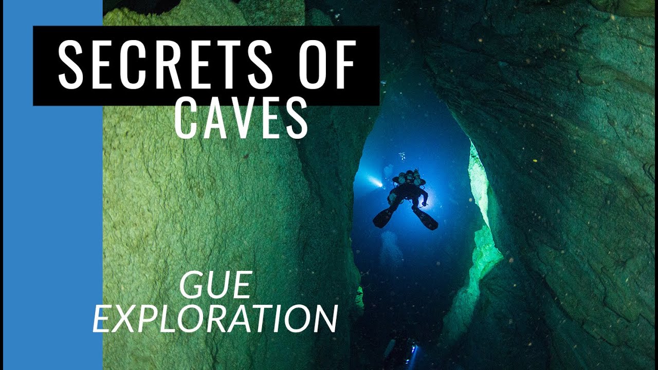 Unlocking the Secrets of Underwater Caves: DNA Exploration Reveals ...