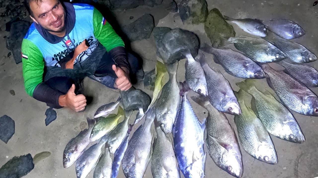 How To Catch Plenty Of Nagroors On Abu Dhabi Shore? - YouTube