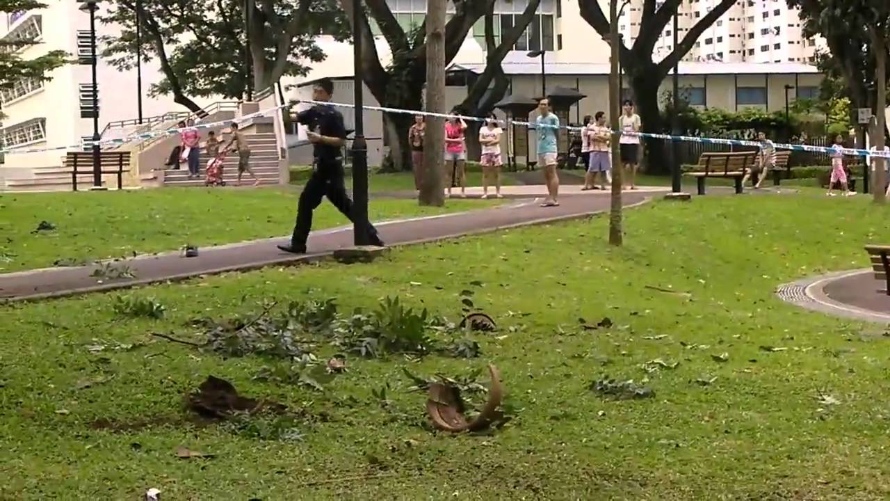 PAP HQ Killer littering Police Dare NOT take action & kept waiting ...