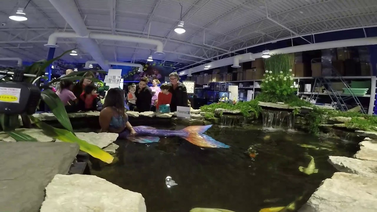 Mermaid Tami's Adventure at Aquarium Adventure in Columbus - YouTube