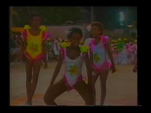 DESFILE ESCOLAS DE SAMBA MIRINS 1995 TRECHO - TVE