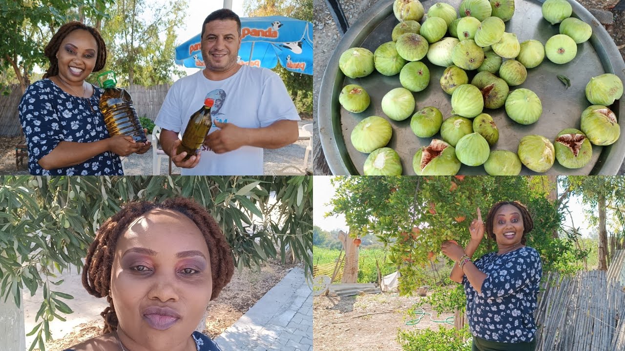 Mama Bear Farming Like Crazy In Turkey - YouTube