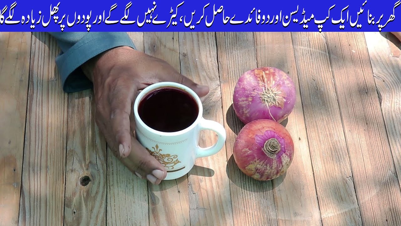 How To Make Homemade Pesticide Spry Just In 10 Mint | Insect Killer ...