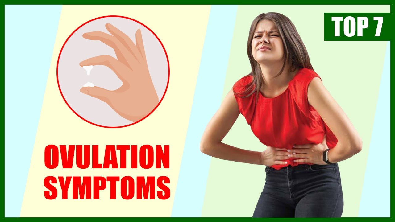 Ovulation Symptoms – Top 7 Signs of Ovulation in a Woman Cycle - YouTube
