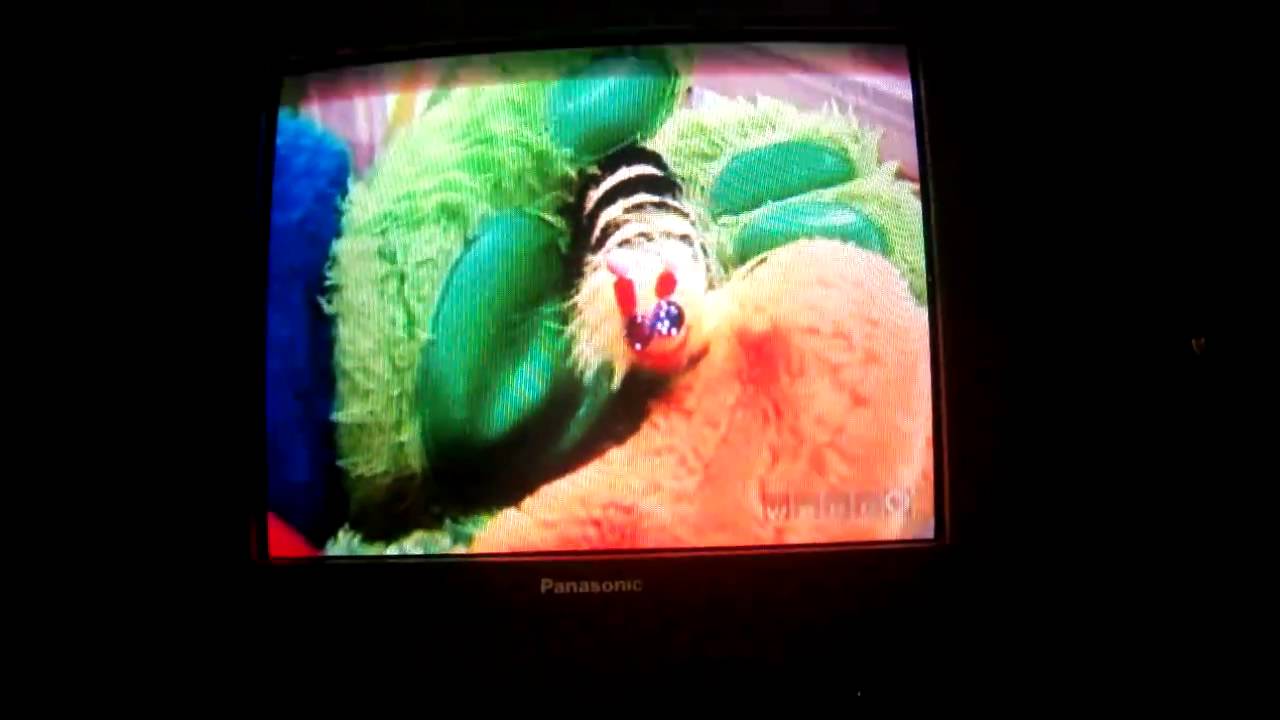 Raggs' caterpillar Pt. 1 - YouTube