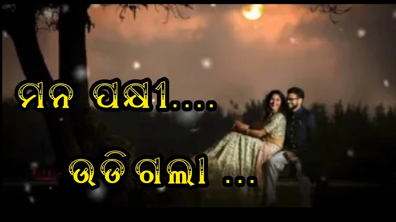 Mana pakhi Udigala || Odia Song || Kumar Bapi || Ira Mohanty - YouTube