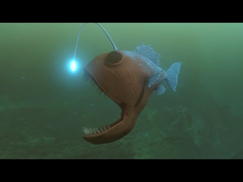 Feed & Grow Fish The Angler FISH?! - YouTube