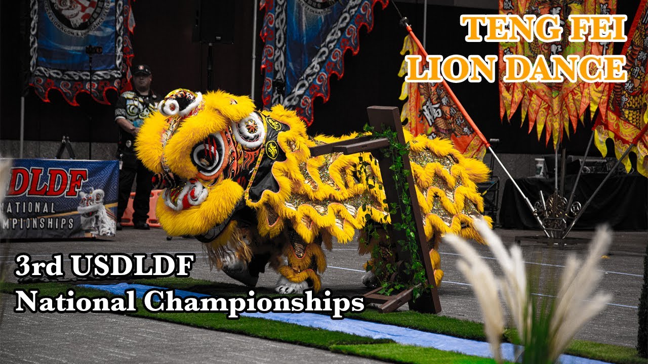TENG FEI LION DANCE | TRADITIONAL CATEGORY | 3RD USDLDF NATIONAL ...