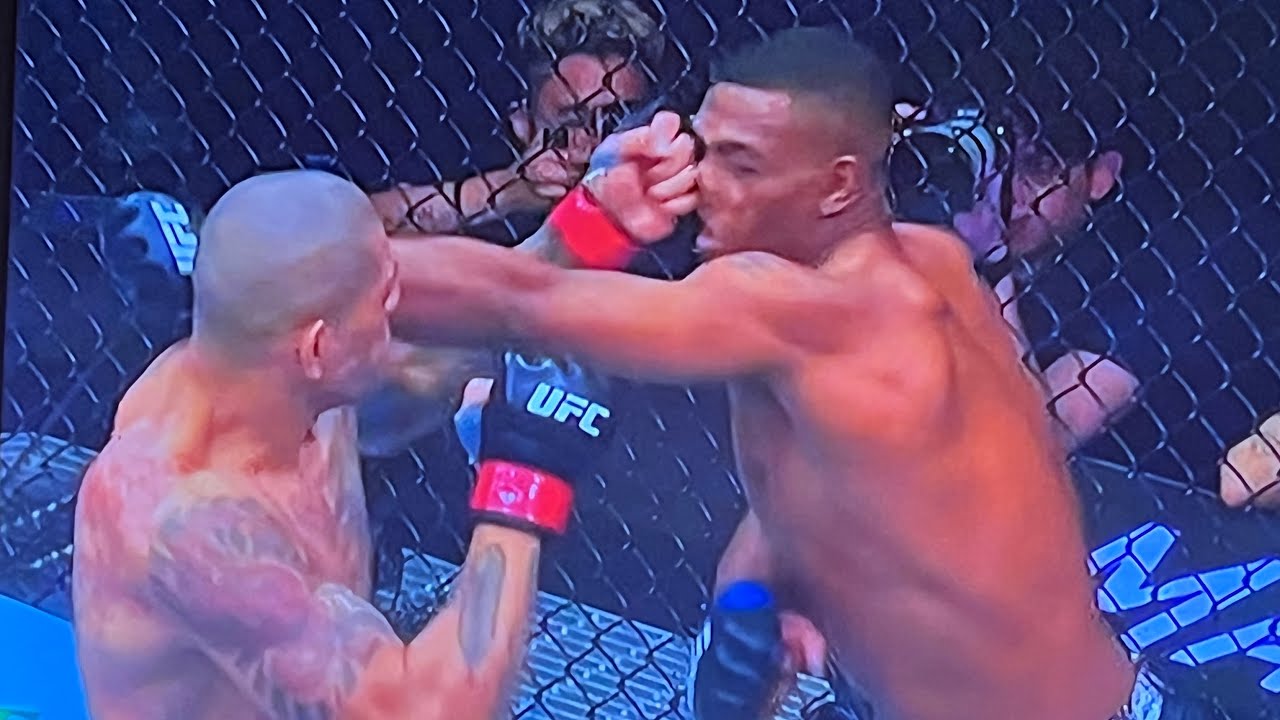 The Most Powerful Left Hook in UFC! Completely Knocked Out | Alex ...