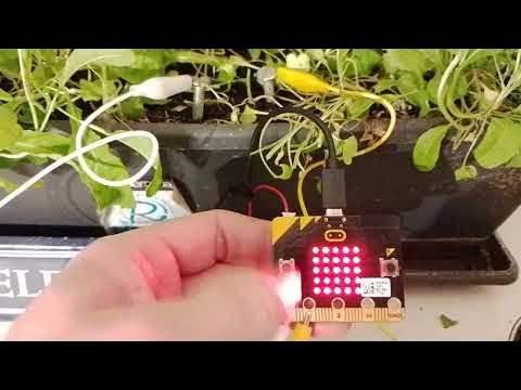 Building and programming a Micro:Bit watering system - YouTube
