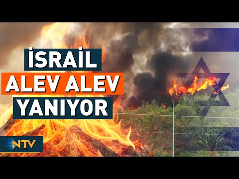 İsrail Tarihinin En Büyük Yangını! Bölgeye Diğer Ülkelerden Yardım Gidiyor | NTV