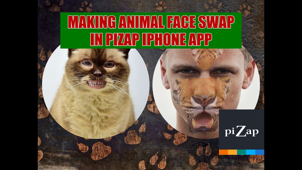 piZap's Quick Photo Editing Tutorial:Making animal face swap in piZap ...
