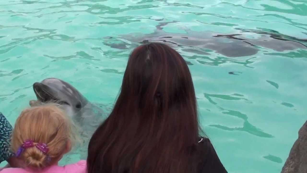 Sea World - Dolphin Spitting Water at Me - YouTube